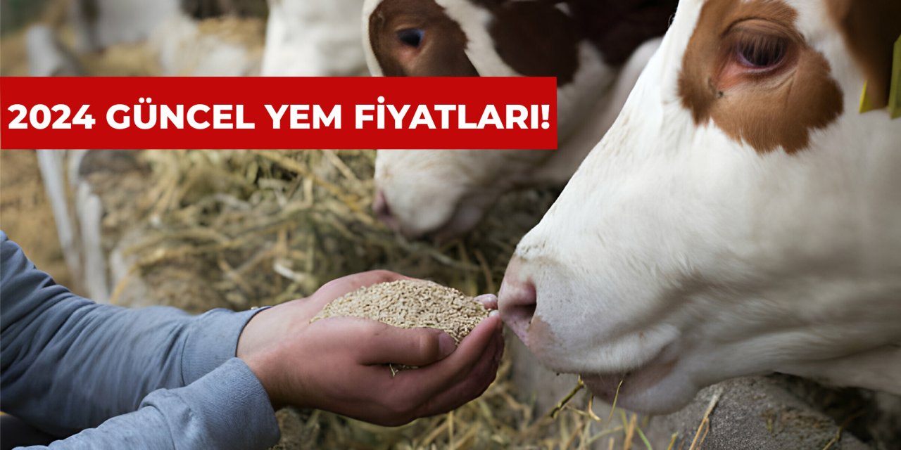 2024 Güncel Yem Fiyatları – 50 Kg Yem Ne Kadar Oldu? - Aydın Ses ...