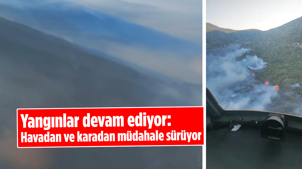Yangınlar devam ediyor: Havadan ve karadan müdahale sürüyor - Aydın Ses ...